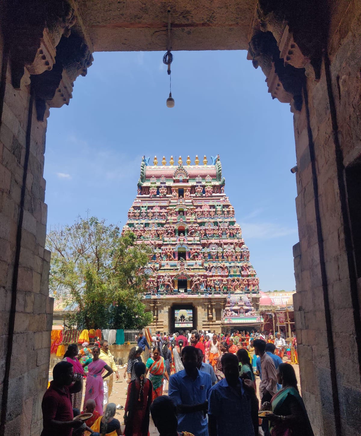 Best & Famous Nadi Astrologer in Vaitheeswaran Koil